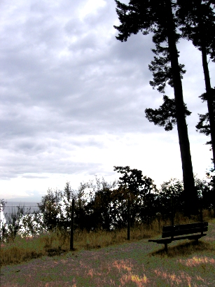 Ocean Breeze Stables Inc. - Metchosin Trails